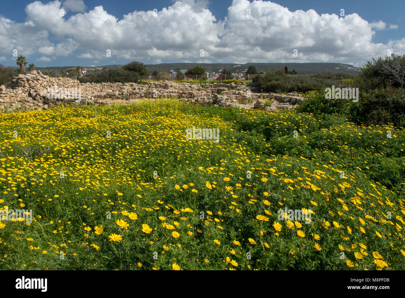 Archeoligical site at Agios Georgious, Paphos district, Cyprus ...
