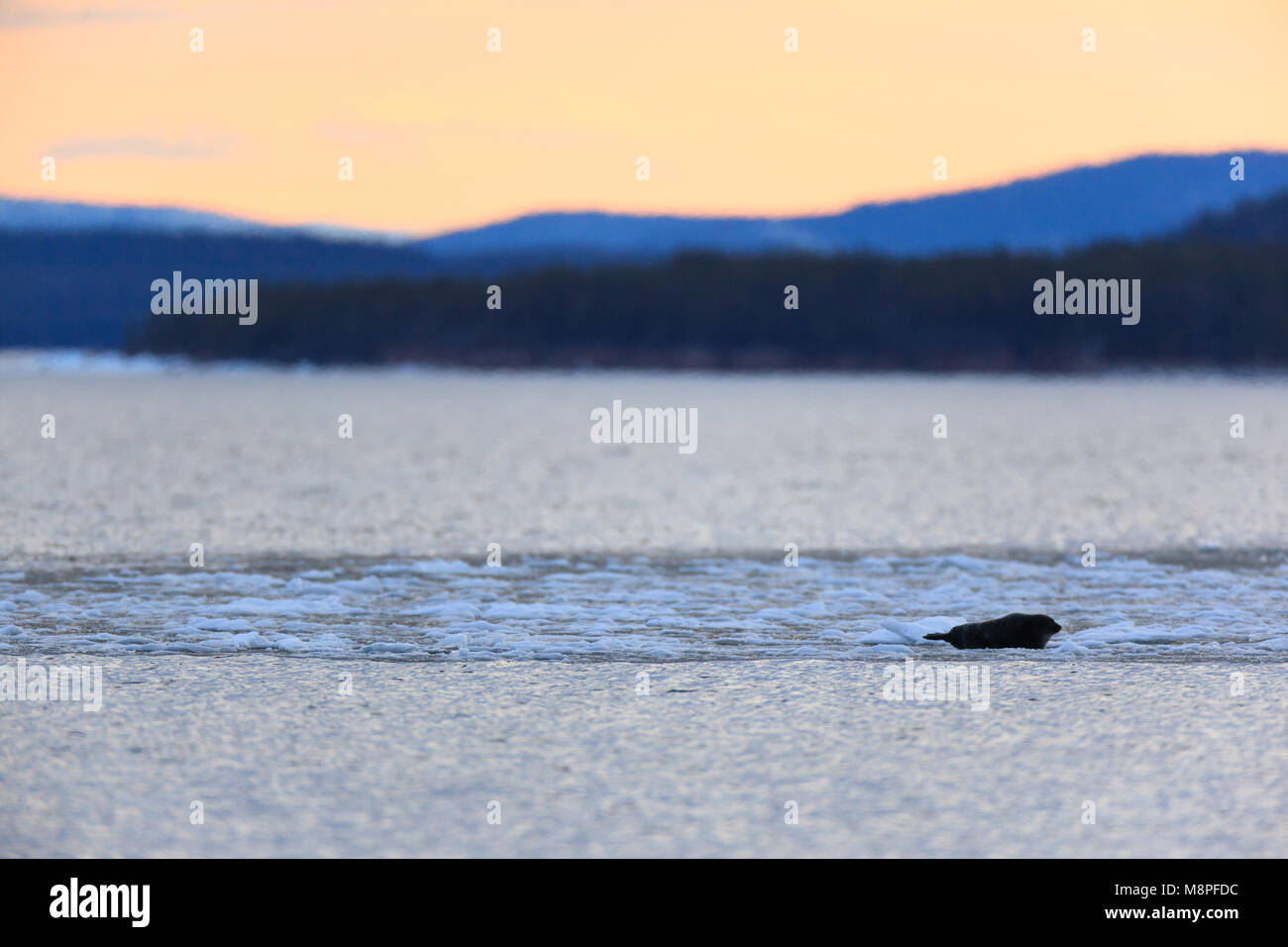 Slumber sea hi-res stock photography and images - Alamy