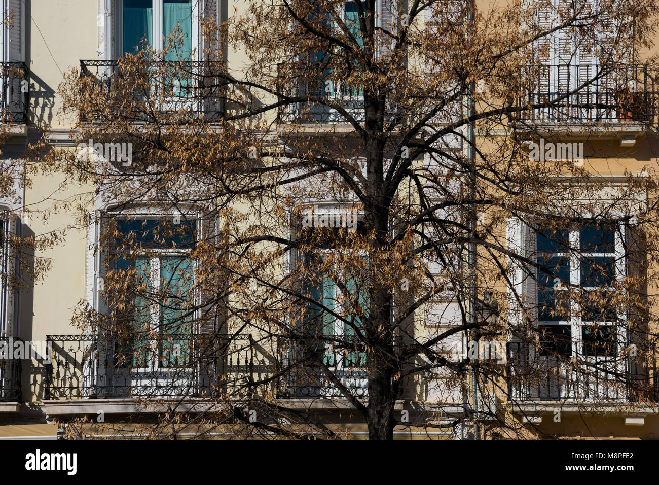 Español morisco hi-res stock photography and images - Alamy