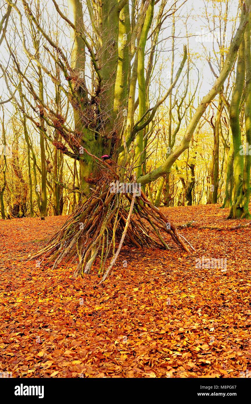 Childrens woodland den hi-res stock photography and images - Alamy