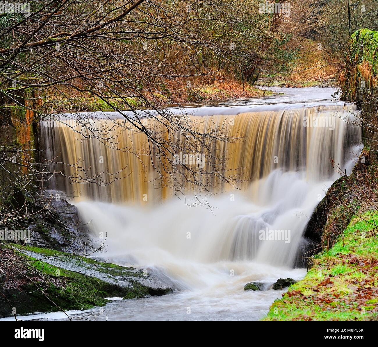 Fast flowing spring waterfalls Stock Photo - Alamy