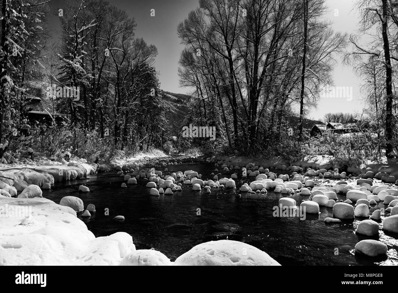 Aspen winter wonderland Stock Photo - Alamy