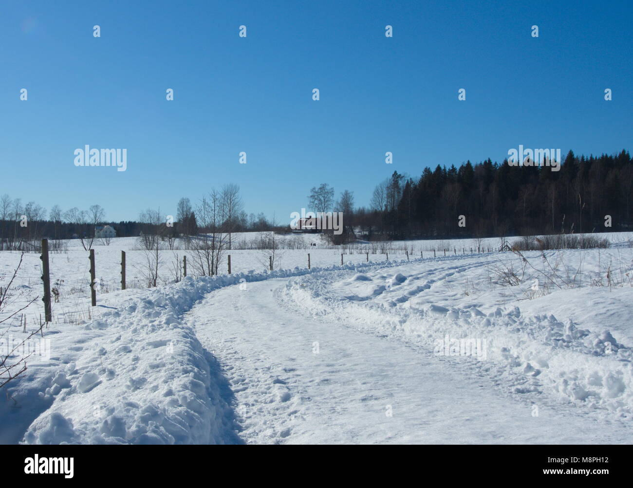 A snowy path sunny winterday Stock Photo - Alamy