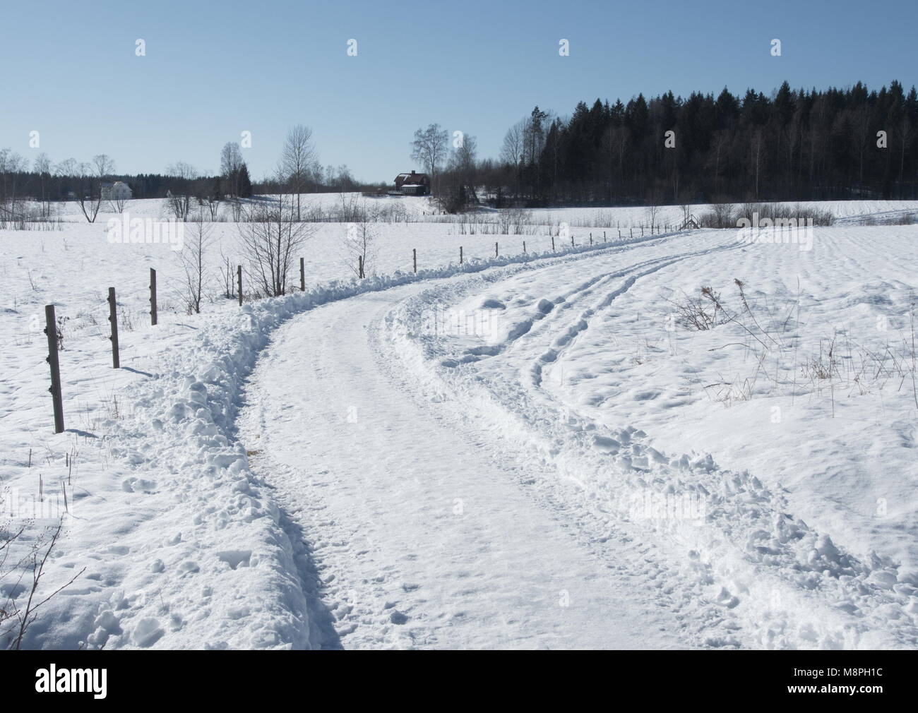 A snowy path sunny winterday Stock Photo - Alamy