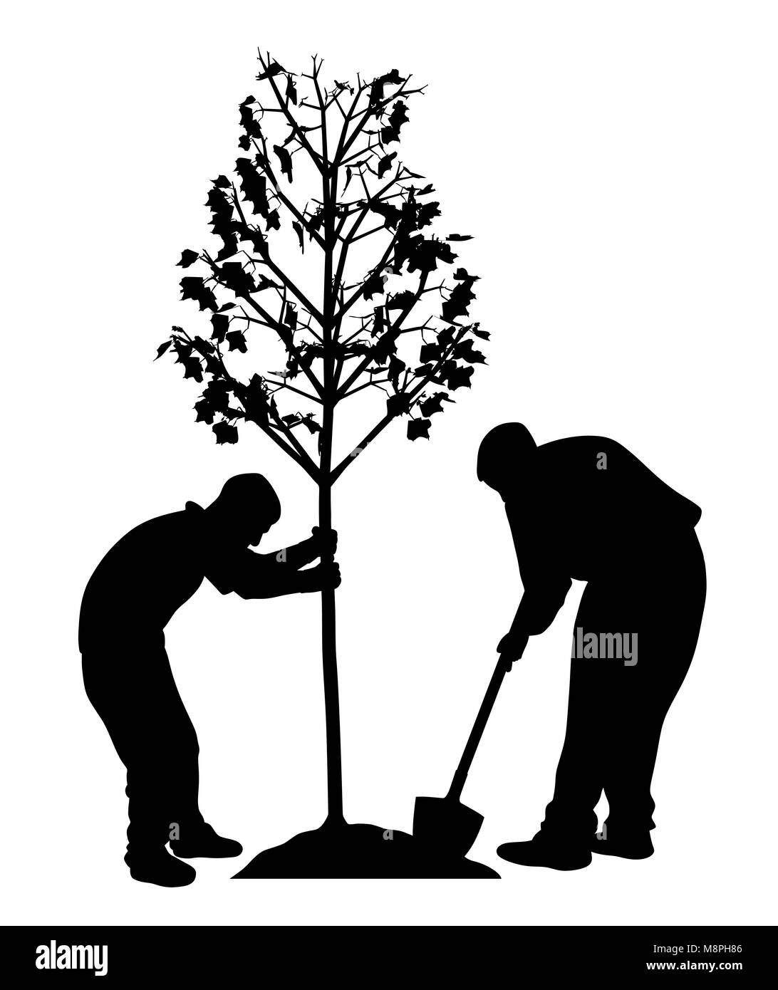 Two men planting a tree Stock Photo - Alamy