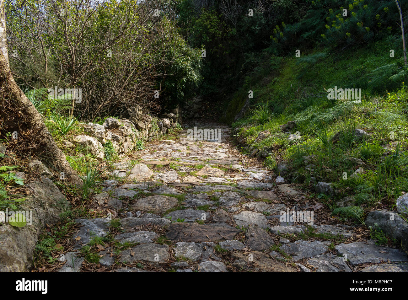 Ancient Greek Stone Stairs High Resolution Stock Photography and Images ...