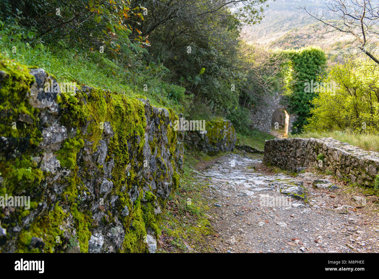Moss on stones along mountain path, Mystras, Greece Stock Photo - Alamy