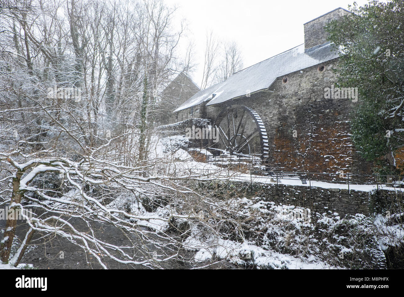 Dyfi Forest Wales High Resolution Stock Photography and Images - Alamy