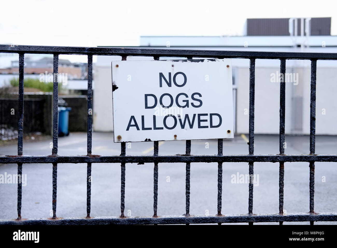No dogs allowed sign at school gates safety for children and pupils ...