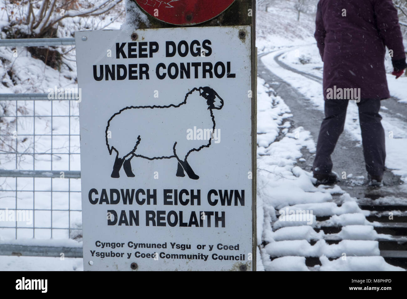 Keep dog on lead and cattle hi-res stock photography and images - Alamy