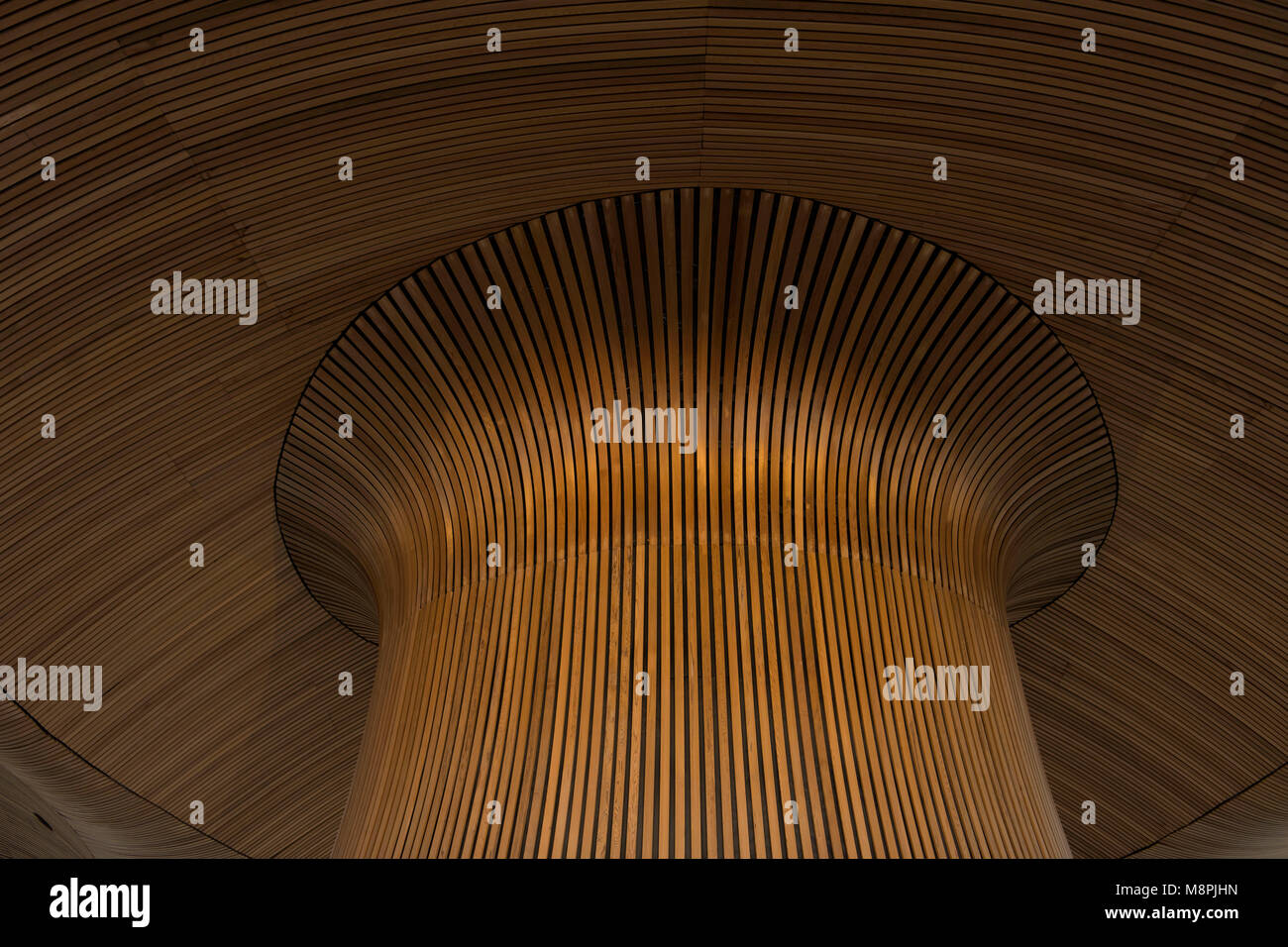 Interior of the Senedd, home of the Welsh National Assembly at Cardiff ...