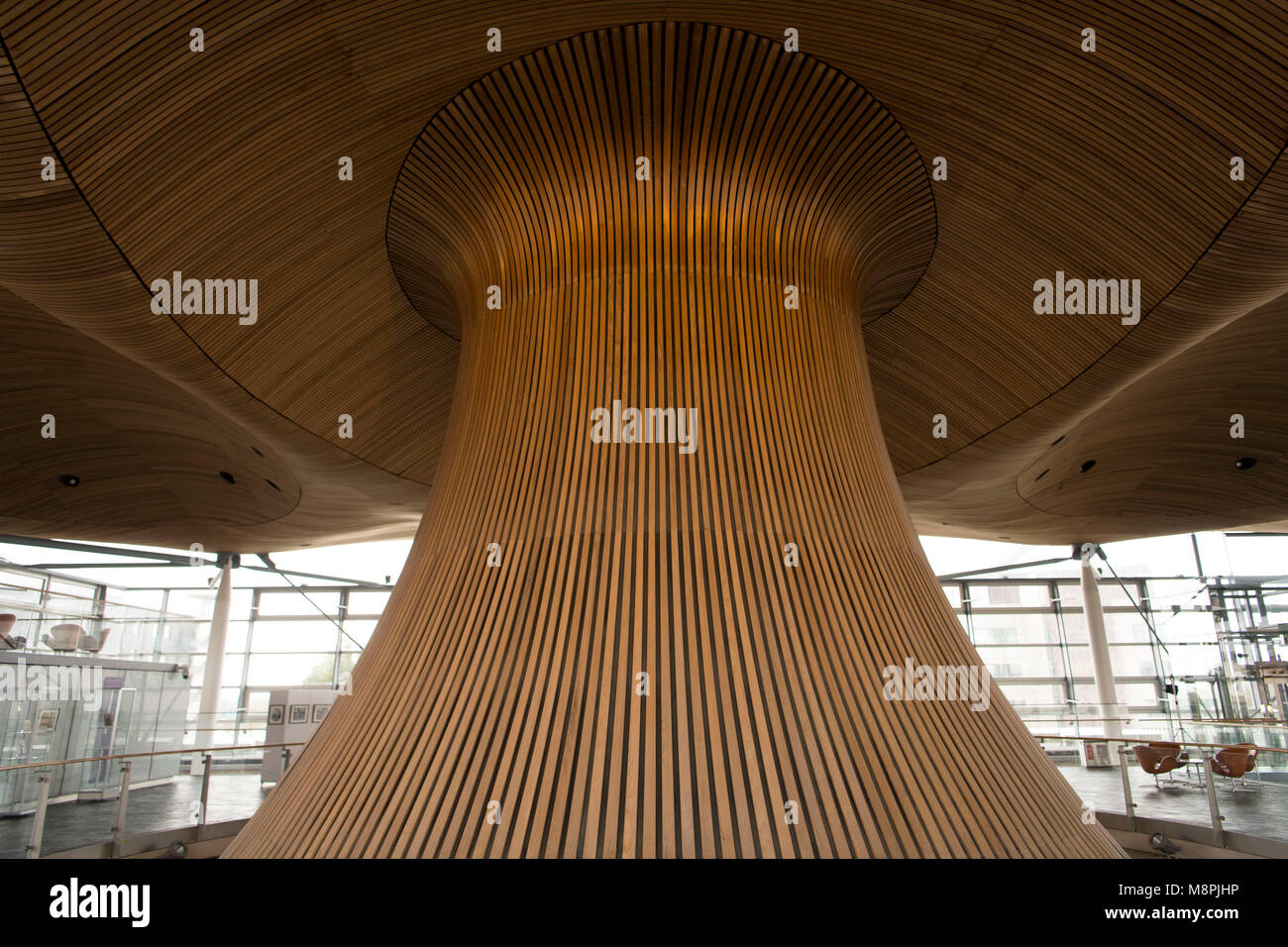 Interior of the Senedd, home of the Welsh National Assembly at Cardiff ...