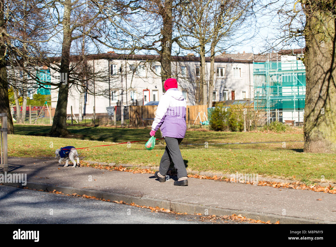 Scotland spring animals hi-res stock photography and images - Alamy