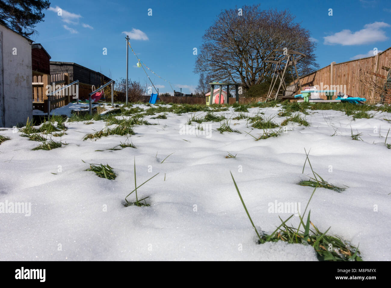 Tufty grass hi-res stock photography and images - Alamy