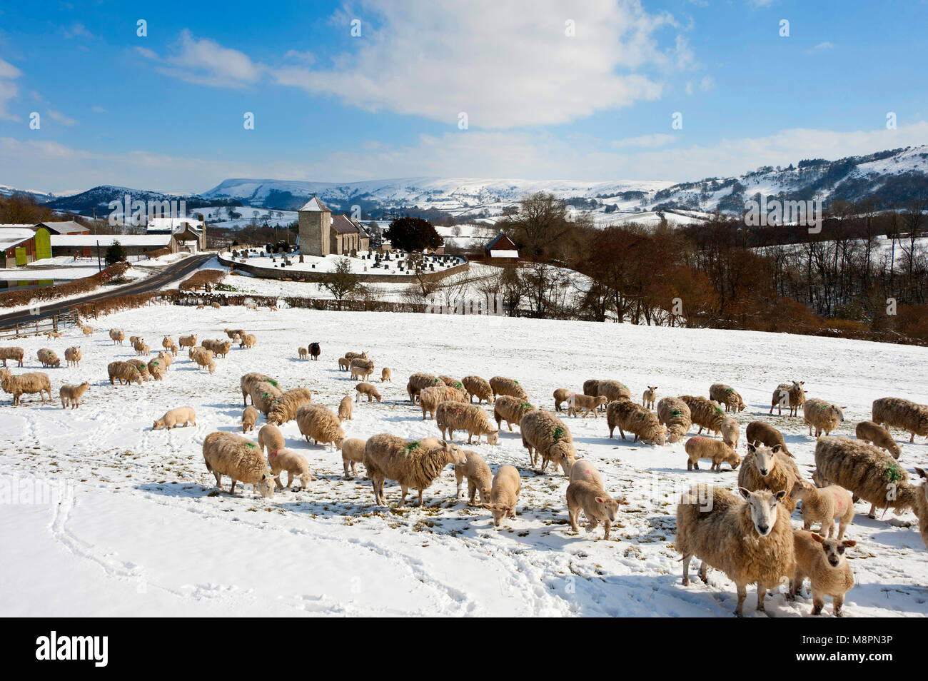 Farming Agriculture Mid Wales Landscape Stock Photos & Farming ...