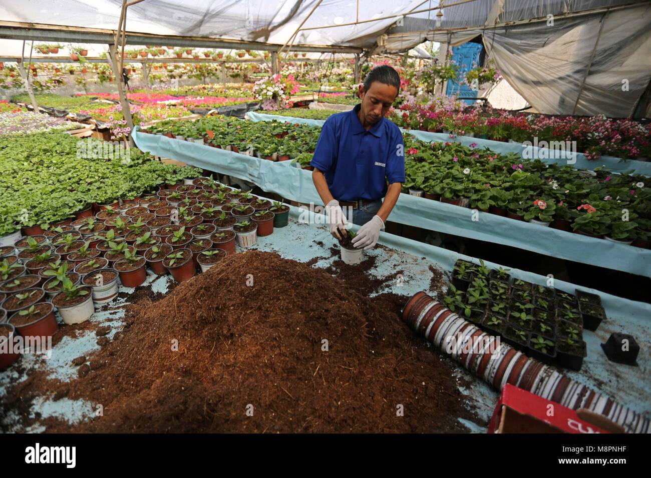 Zawayda, Gaza Strip, Palestinian Territory. 19th Mar, 2018. A ...