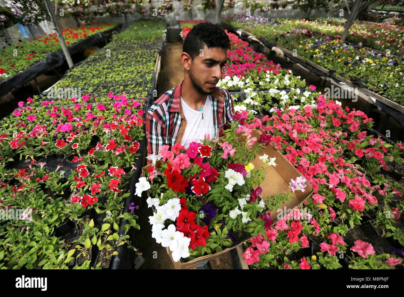 Zawayda, Gaza Strip, Palestinian Territory. 19th Mar, 2018. A ...