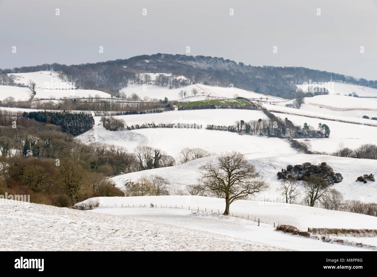 Broadwindsor dorset winter snow hi-res stock photography and images - Alamy