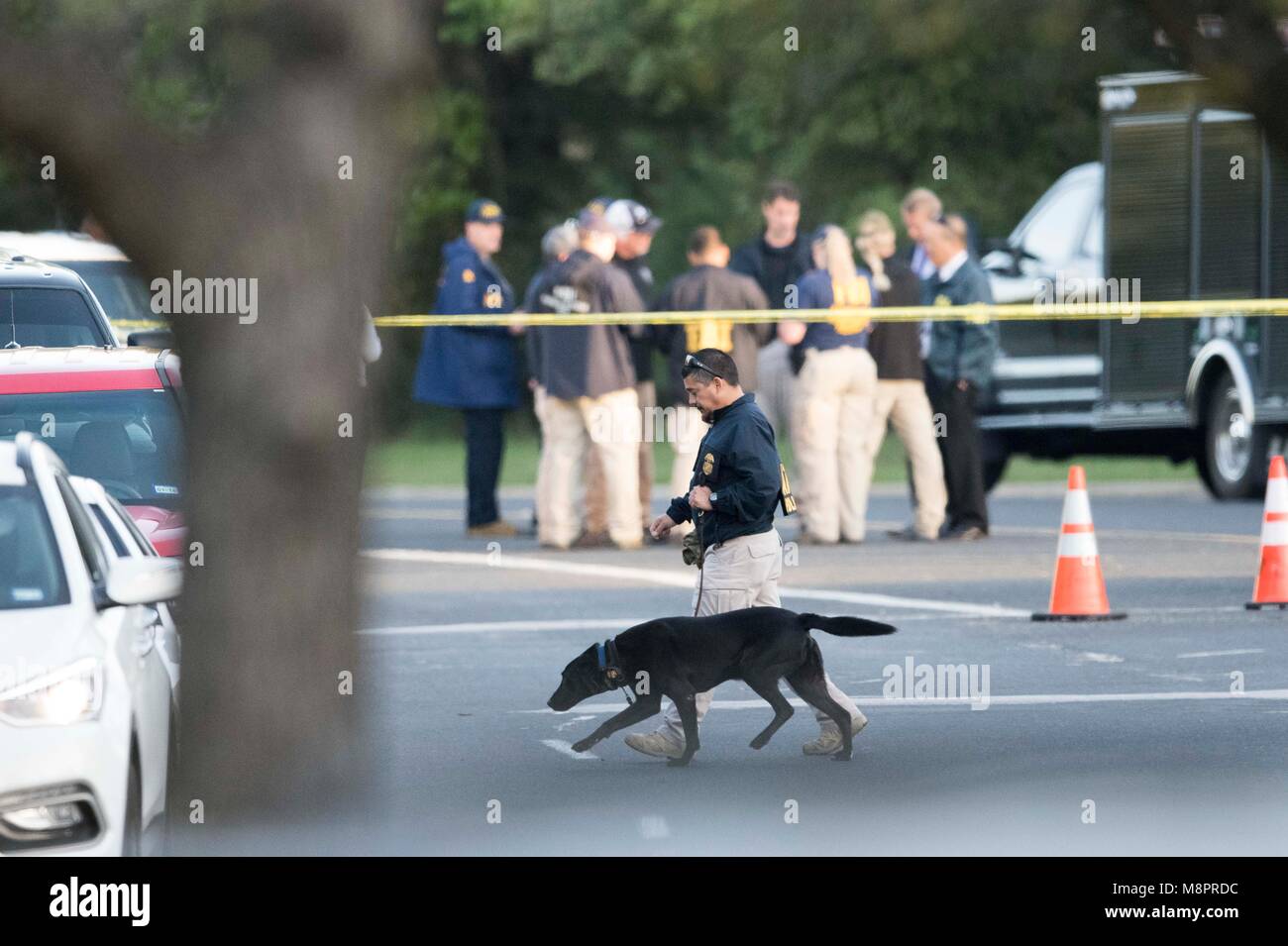 Crime dog hi-res stock photography and images - Alamy