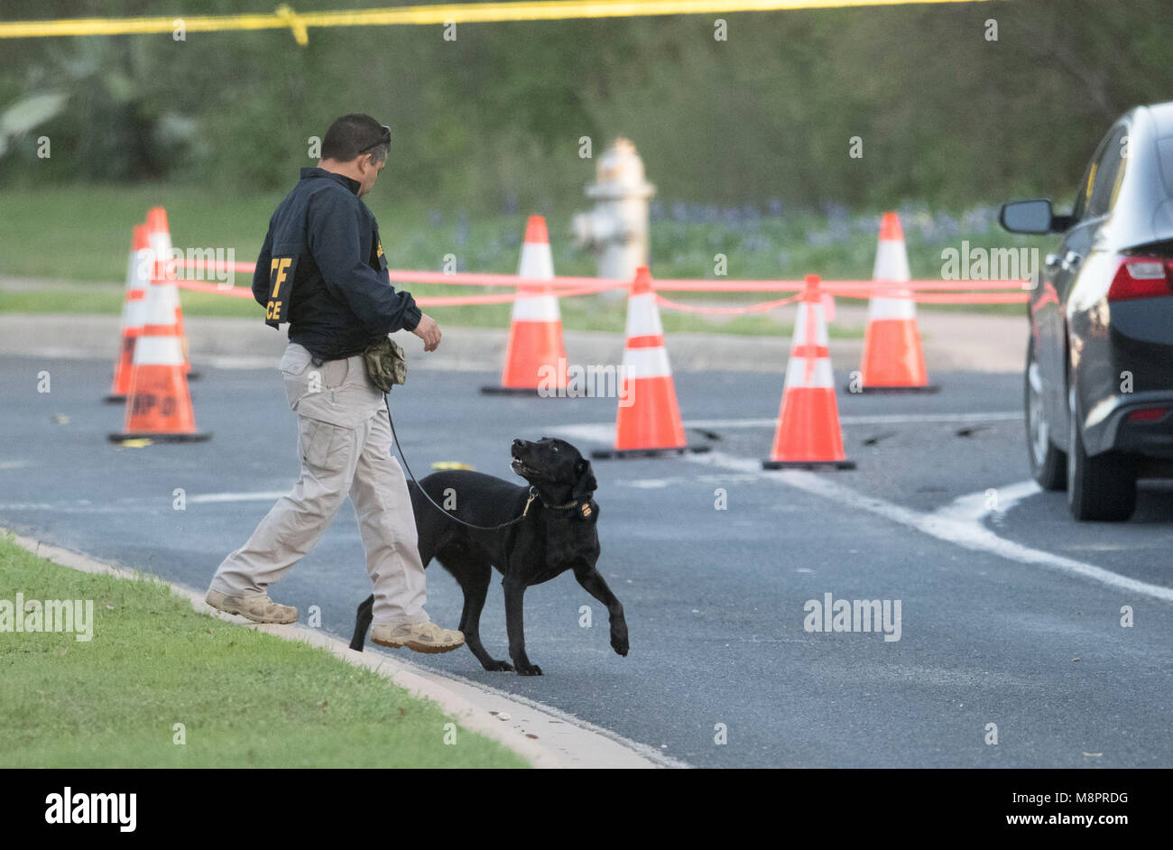 Crime dog hi-res stock photography and images - Alamy