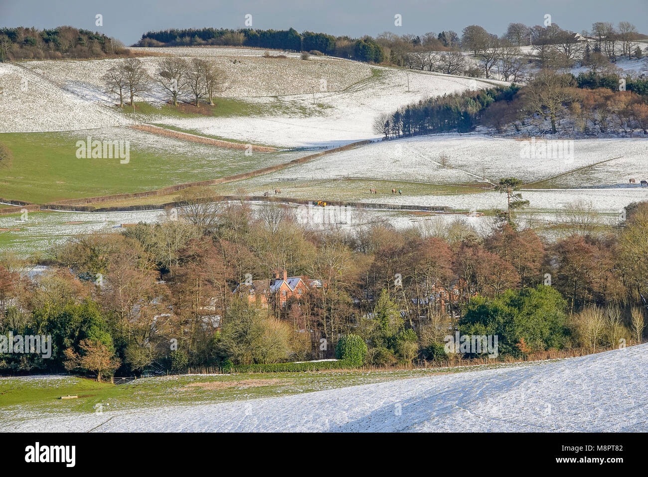 Thorncombe Street, Godalming. 19th March 2018. Heavy snowfall began to ...