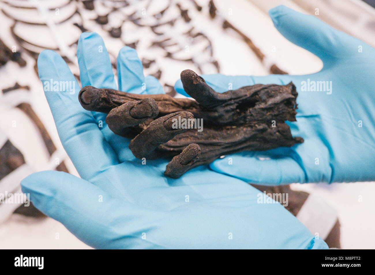 Bog Body High Resolution Stock Photography and Images - Alamy