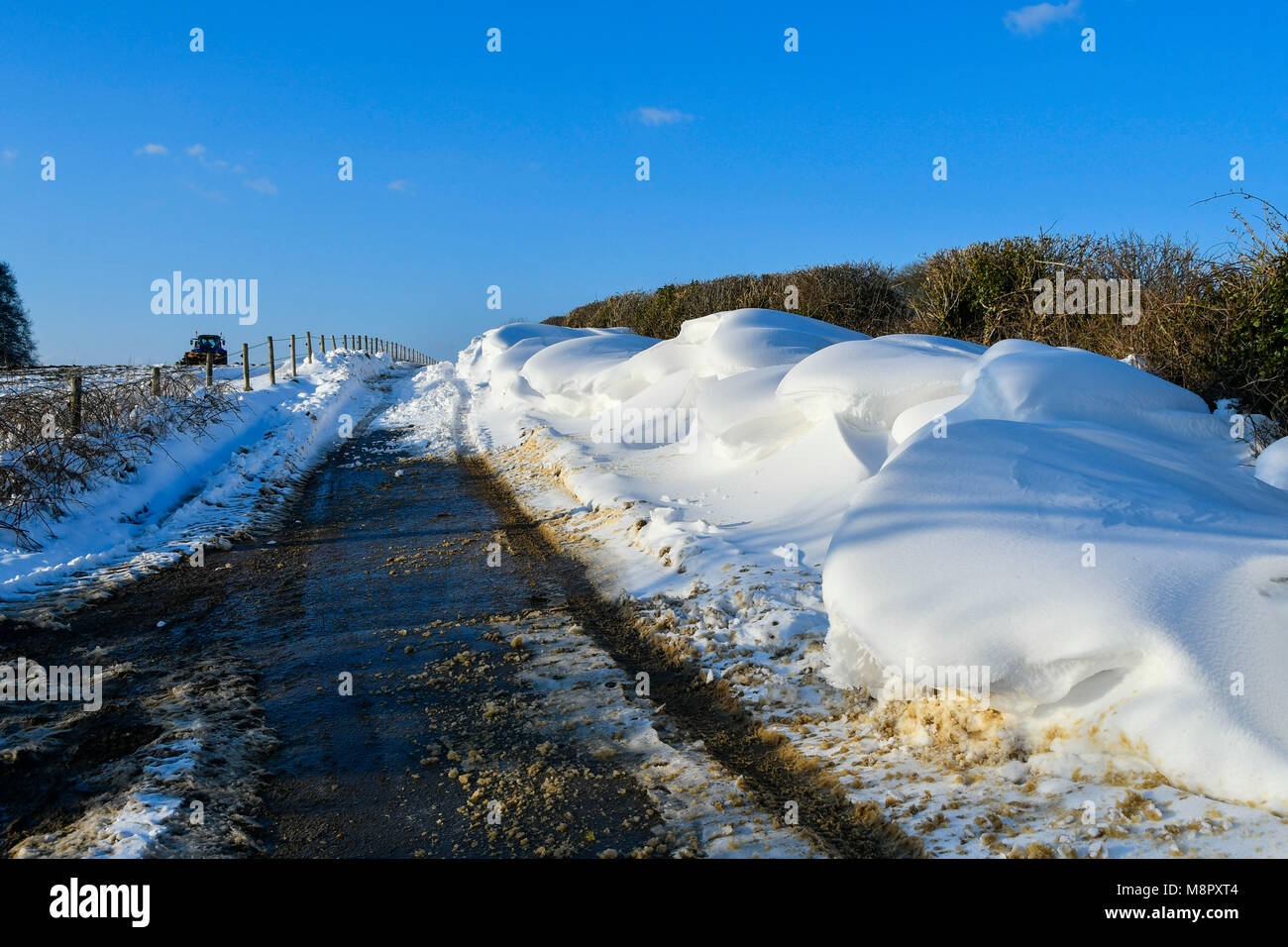 Little bredy dorset hi-res stock photography and images - Alamy