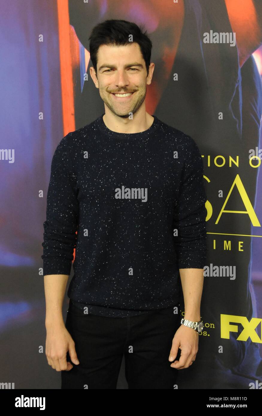 Max Greenfield Beard