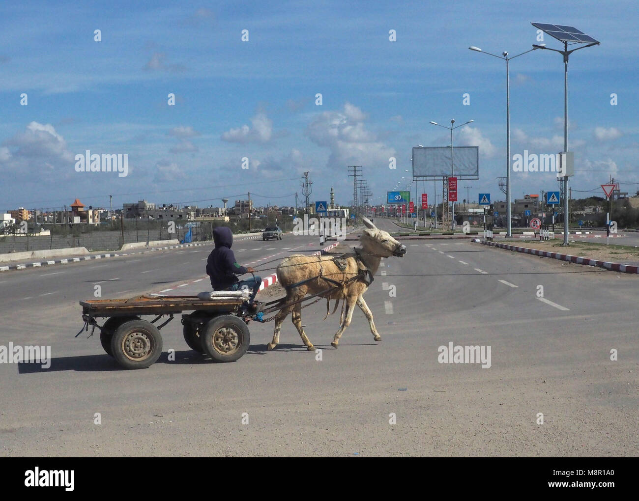 14 February 2018, Palestinian Territories: A Palestinian and his donkey ...