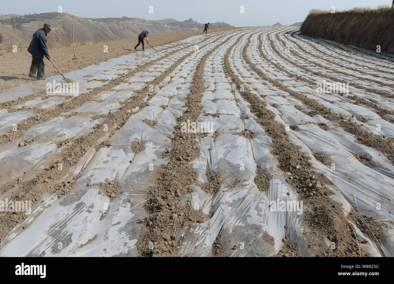 Linxia, China's Gansu Province. 19th Mar, 2018. Farmers work at a field ...