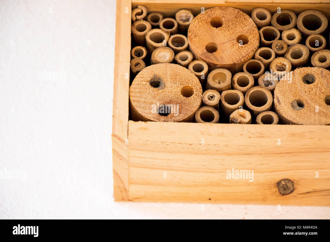 Insect nest tubes hi-res stock photography and images - Alamy