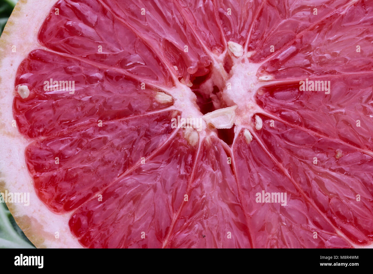 Grapefruit Fruit Vegetable veggie macro vitamines background vegan ...