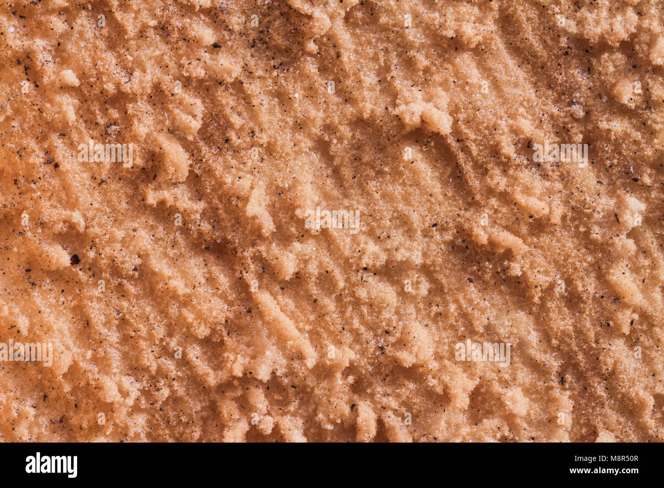 Sponge soft texture structure yellow light grunge rough close up bath ...