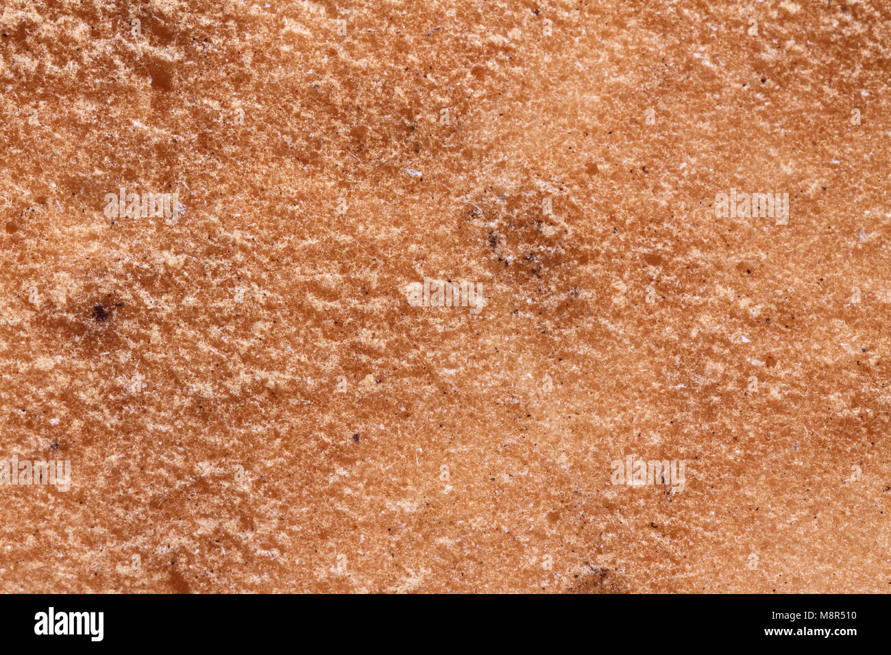 Sponge soft texture structure yellow light grunge rough close up bath ...