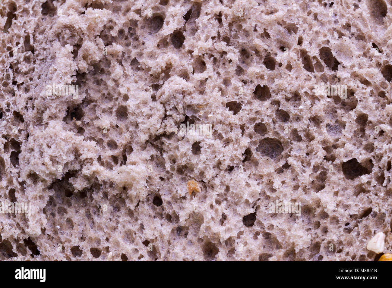 bread loaf sponge rough grain bake structure texture Stock Photo - Alamy
