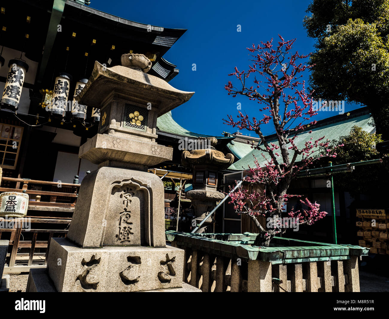 Japanese temple cherry blossoms hi-res stock photography and images - Alamy