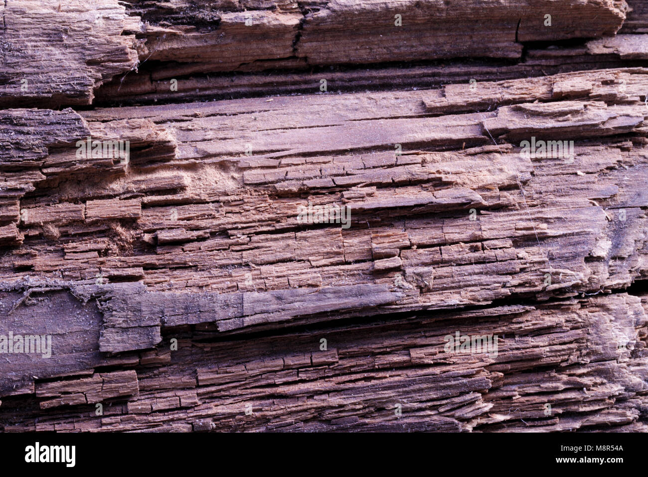 wood texture structure tree brown grunge abstract old Stock Photo - Alamy