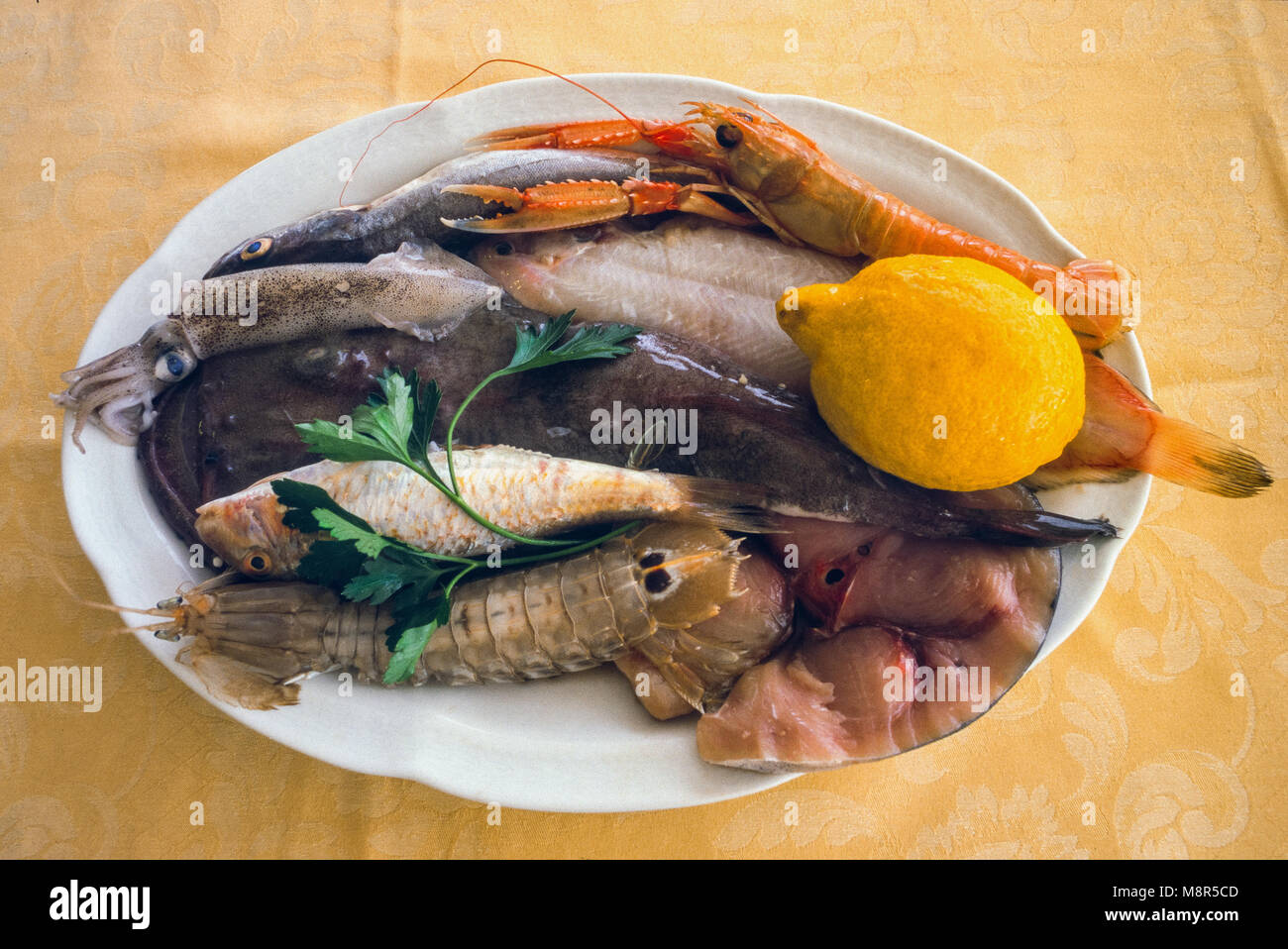 Hen fish hi-res stock photography and images - Alamy