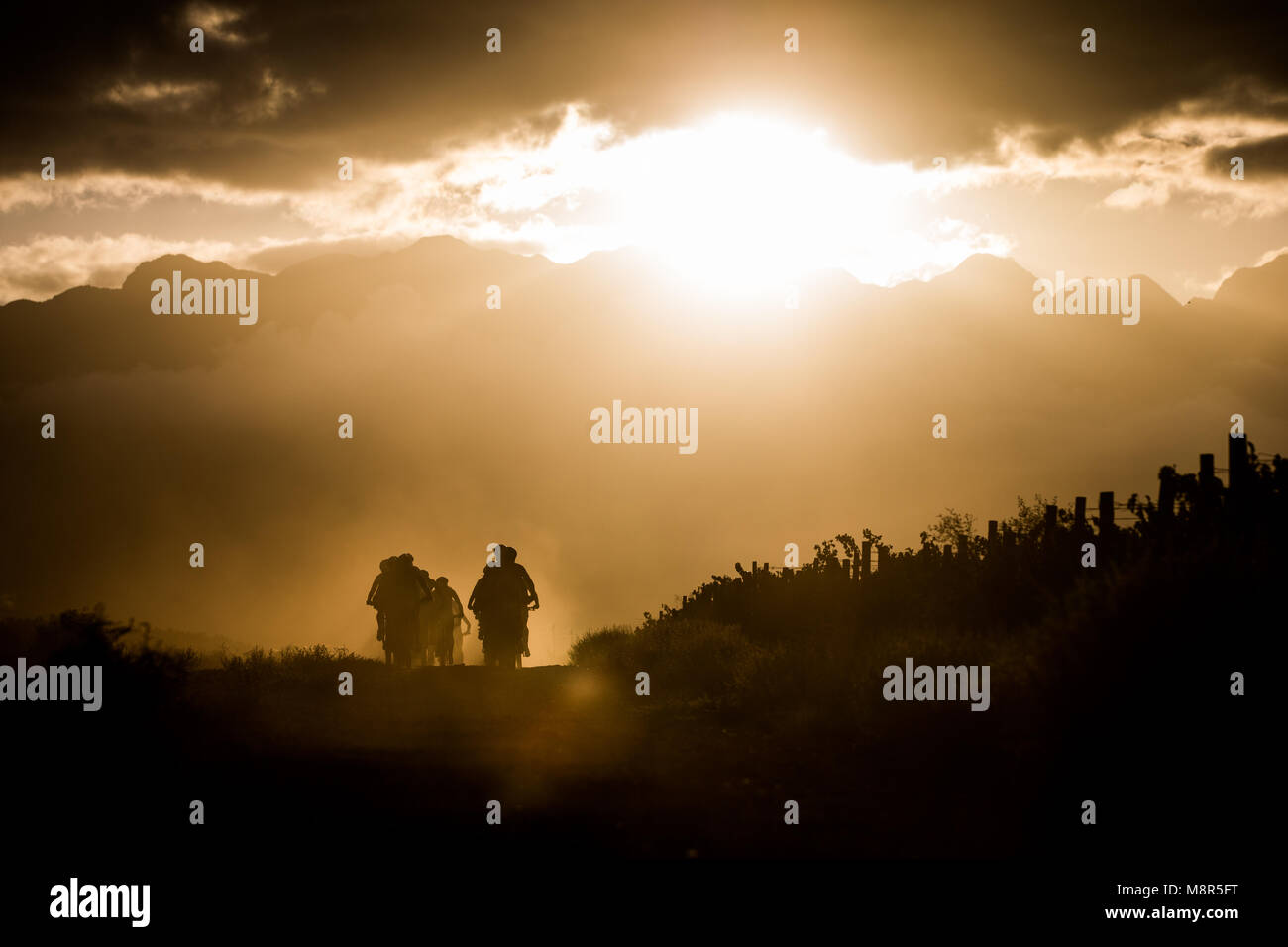 Cape Epic Mountain bike stage race, bikers Stock Photo - Alamy