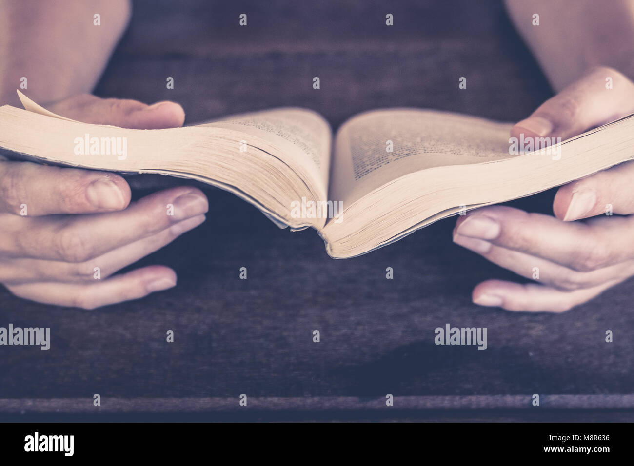 Hands holding book hi-res stock photography and images - Alamy