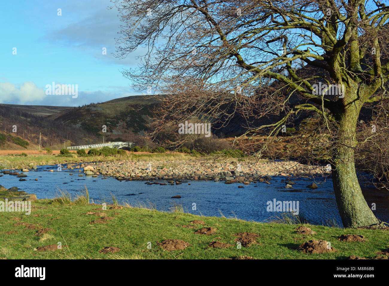 River Breamish, Ingram Valley, Northumberland Stock Photo - Alamy