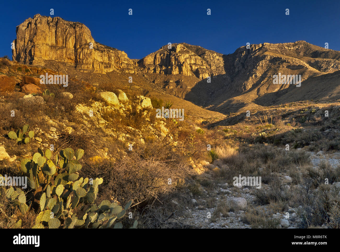 El Capitan, fossilized reef, at sunrise, Guadalupe Mountains National ...