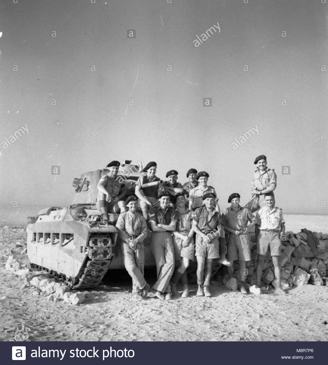 Royal Armoured Corps Stock Photos & Royal Armoured Corps Stock Images ...