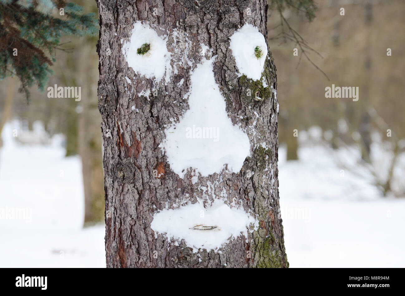 The face was made of snow on the tree.He looks into the distance Stock ...