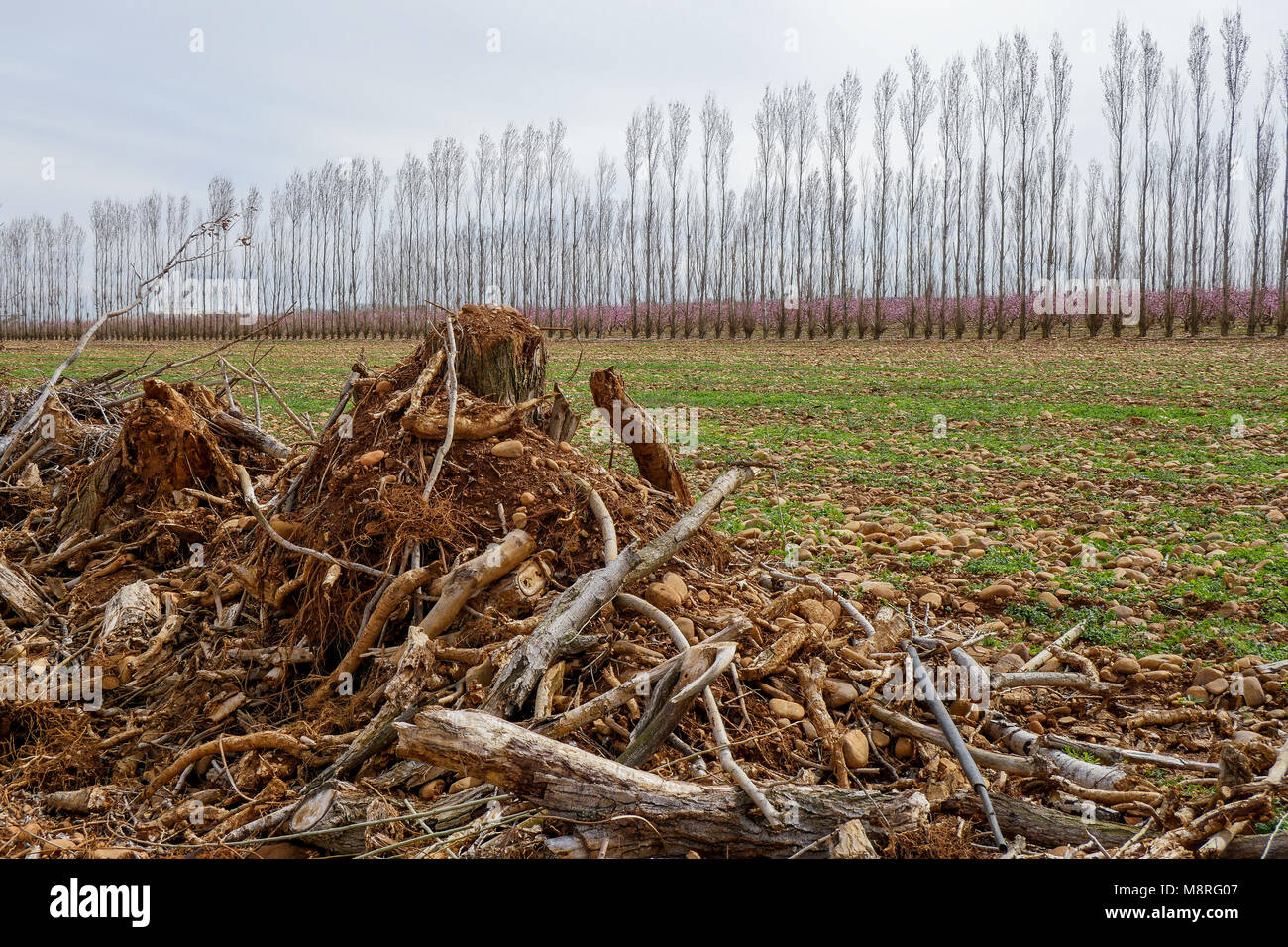 Cutted stones hi-res stock photography and images - Alamy