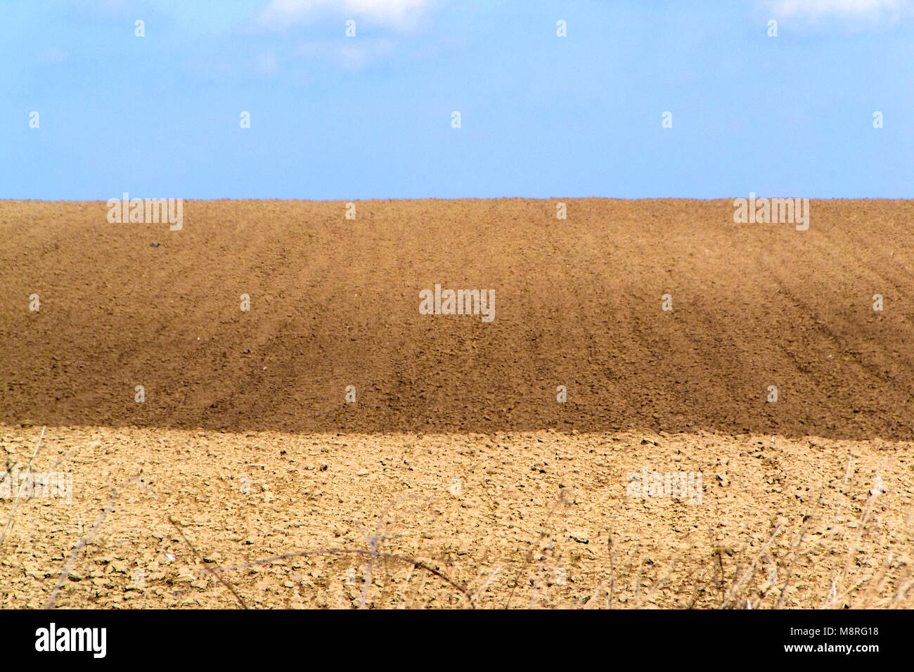 Outdoor grain planting hi-res stock photography and images - Alamy