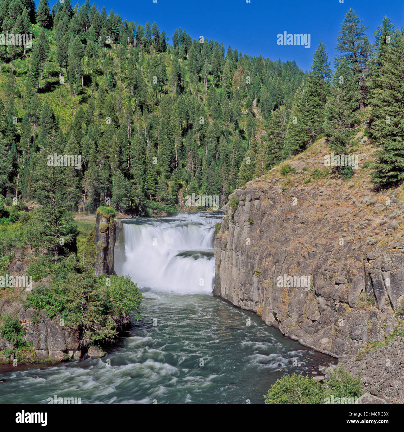 lower mesa falls on henry's fork near ashton, idaho Stock Photo - Alamy