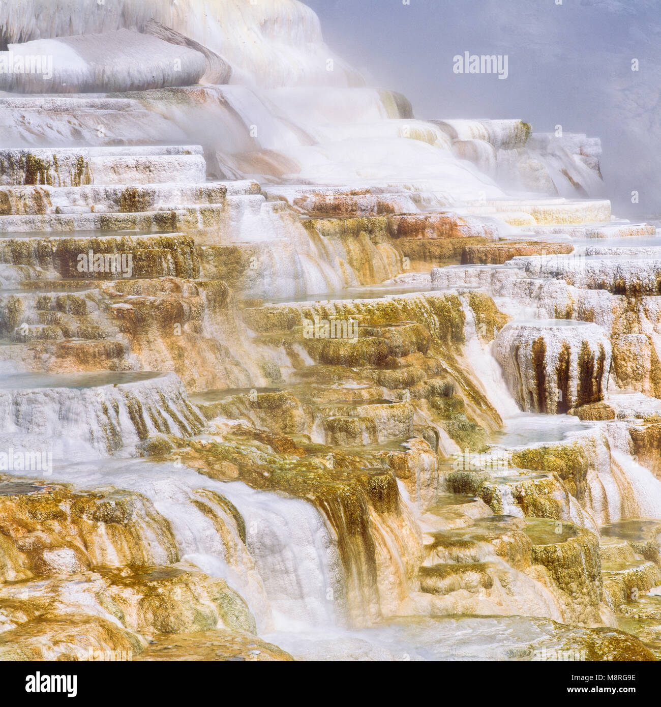 travertine terraces and pools at mammoth hot springs in yellowstone ...