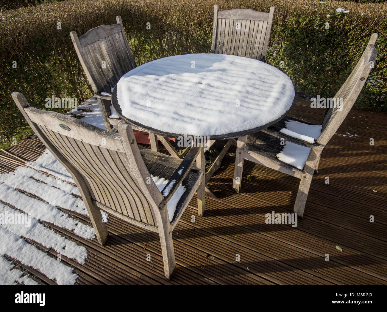 Mini beast house hi-res stock photography and images - Alamy