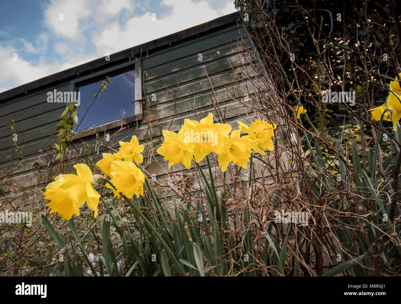 Mini beast hi-res stock photography and images - Alamy